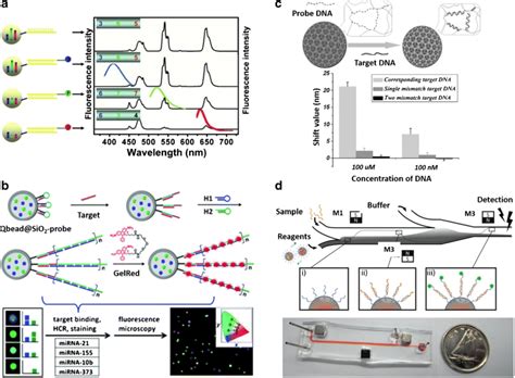 Fluorometric Microbead Based Nucleic Acid Detection A Dna Download Scientific Diagram