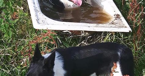 Bathtime Album On Imgur Bathtime Album On Imgur