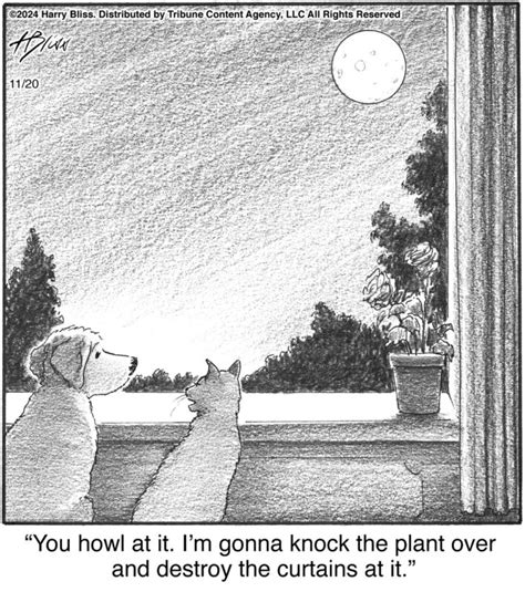 Bliss Cartoons Harry Bliss