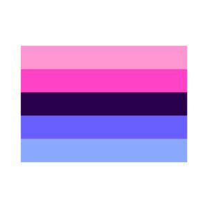 Omnisexual Pride Flag Grand Rapids Pride Center