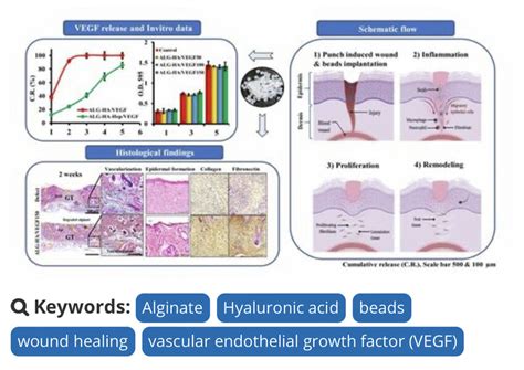 Schematic Workflow Diagram Including In Vitro And In Vivo Results Download Scientific Diagram