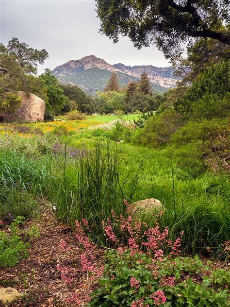 The Mikereport Santa Barbara Botanical Garden