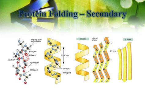 Ppt Protein Folding Prediction Powerpoint Presentation Free Download