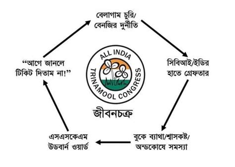 Life Cycle Of A Tmc Neta Rkolkata