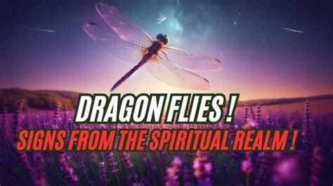 Will Codling On Linkedin The Spiritual Meaning Of Dragonflies Symbols