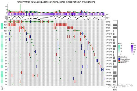 肿瘤生信科研：绘制突变景观图（mutation Landscape） 知乎