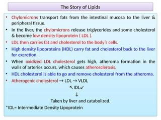 Dyslipidaemia Causes Types Prevalence And Modern Treatment Of