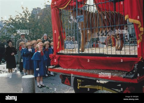 Madeline 1998 Cda