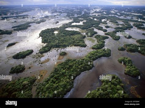 Lagoons And An Elevated Forest During The Wet Season In The Pantanal