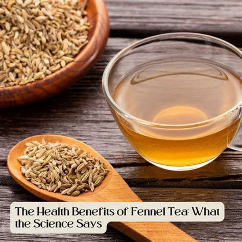 Fennel Tea Benefits Uses And More Clinikally