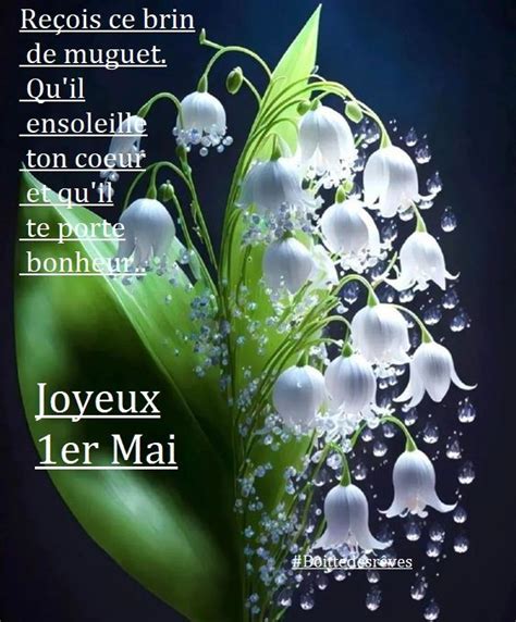 𝙹𝚘𝚢𝚎𝚞𝚡 𝟷𝚎𝚛 𝙼𝚊𝚒 𝙱𝚘𝚗𝚑𝚎𝚞𝚛 𝚎𝚝 𝚂𝚊𝚗𝚝é 𝚙𝚘𝚞𝚛 𝚝𝚘𝚞𝚜 🥀 Image De Muguet Carte De