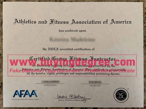 Buy A Fake Afaa Certification To Become A Fitness Instructor