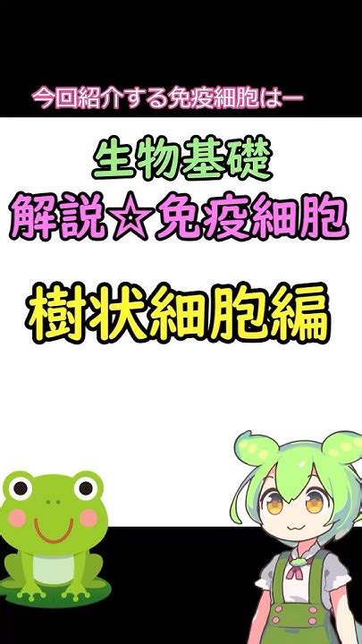 樹状細胞 生物基礎 高校生物 免疫 白血球 Youtube