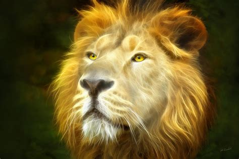 His Majesty Photograph By John Robichaud Pixels