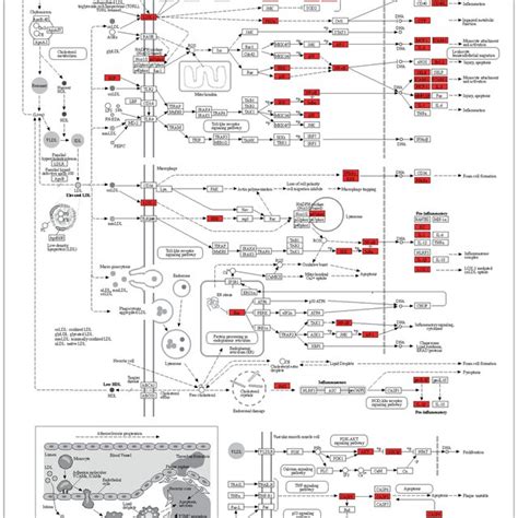 Flow Diagram Of The Systematic Analysis And Validation Processes Download Scientific Diagram