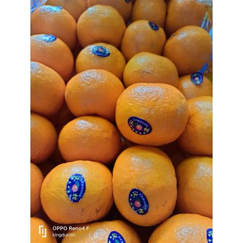 Jual Jeruk Murcot 1 Kg Shopee Indonesia