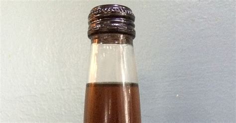 Steves Root Beer Journal Jones Root Beer