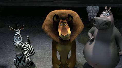 Madagascar 3 Alex Marty Melman And Gloria