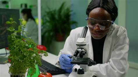 Frente Ver De Biólogo Investigador Mujer Analizando Gmo Verde Muestra