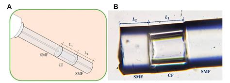 Figure 1 From Ultra Long Range Refractive Index Fiber Sensor Semantic Scholar