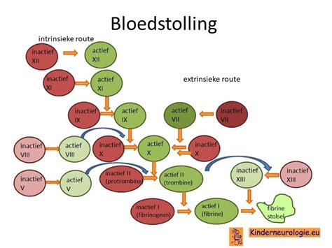 Epidurale Bloeding Kinderneurologie