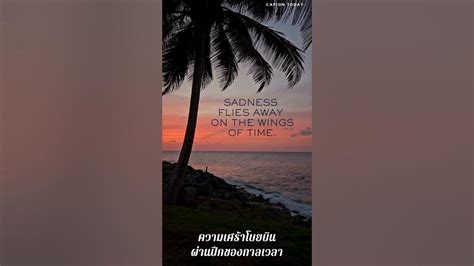 C12 Youtube C12 Youtube