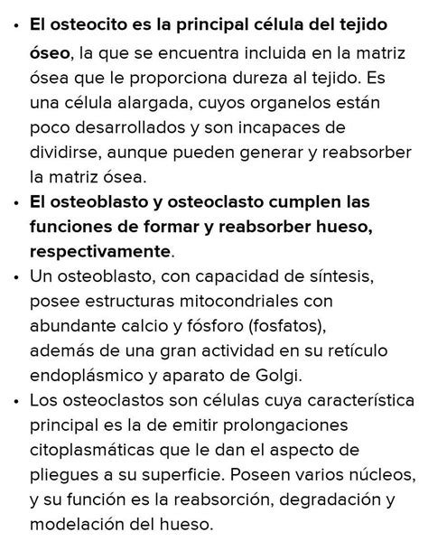 Diferencia Entre La Célula Miocitos Y La Célula Osteocitos Brainlylat