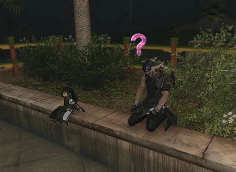 Am I The Only One Who Can See This Turtle Ive Asked 6 People And No One Can See It But Me Am I The Only One Who Can See This Turtle Ive Asked 6 People And No One Can See It But Me