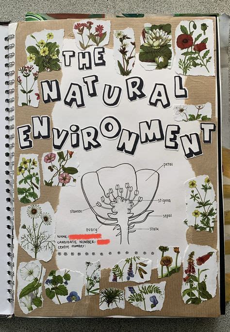 Environment Project Cover Page