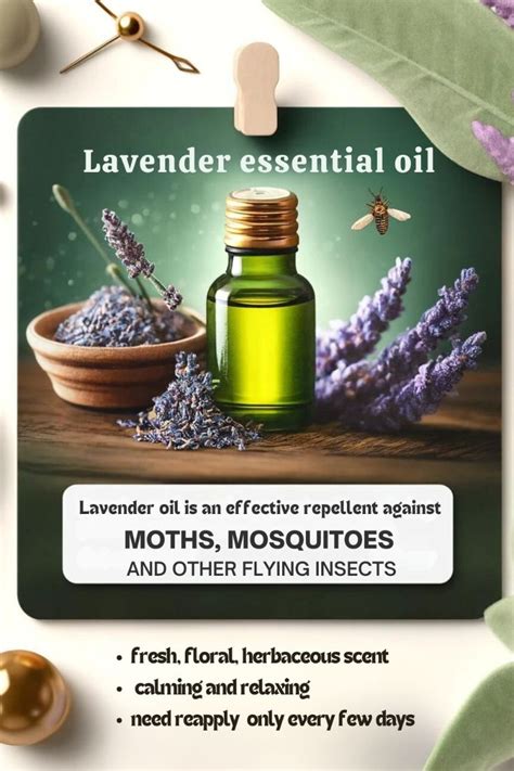 Lavender Essential Oil As A Repellent Any Repellent Essential Oils
