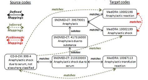 terminology mapping defined and inferred mappings between icd 9 cm and