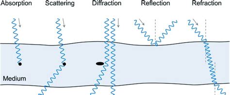 The Different Light Material Interaction Processes Absorption