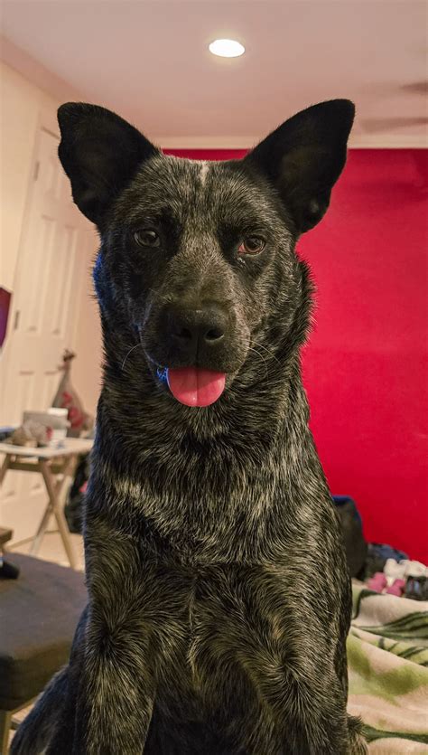 Best Wella Posts Reddit