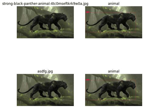 How I Did Automatic Image Labeling Using Grounding Dino Kdnuggets