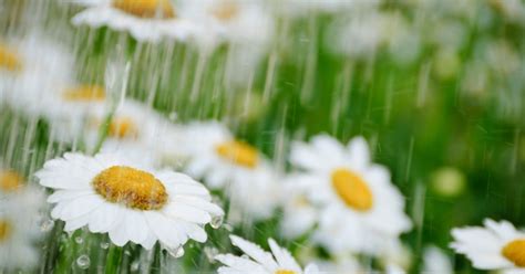 Sarah Rogala On Linkedin Will Strong Job Numbers Derail Rate Cuts And Will High Treasury Yields…