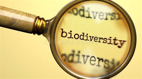 Biodiversity Under Magnifying Glass Thorough Analysis And Inspection