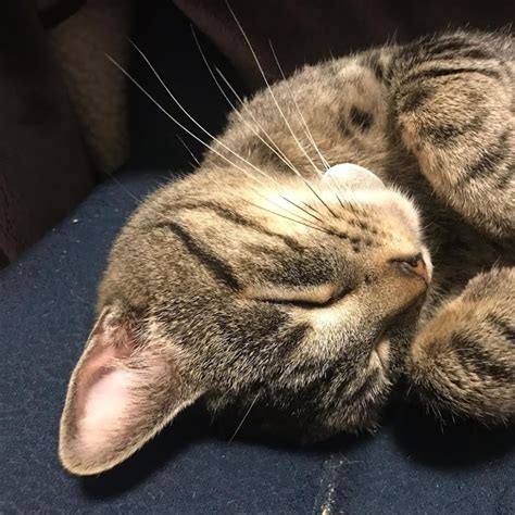 Asherandkatherine Williams Youtube