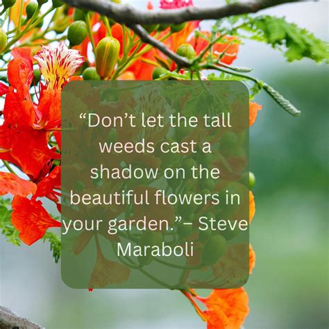 40 Inspirational Flower Quotes 2026 To Brighten Your Day