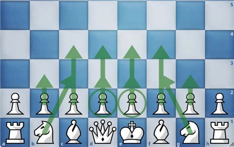 The 10 Most Popular Opening Moves In Chess Ranked From ‘why To ‘wow