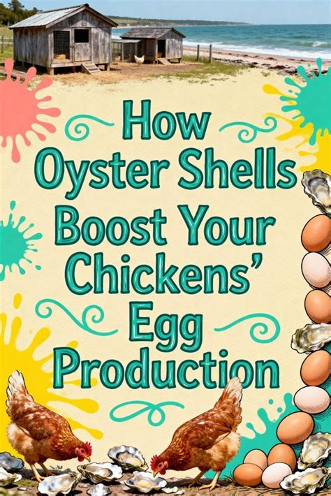 How Oyster Shells Boost Your Chickens Egg Production
