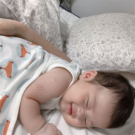 제주 안이남매🌴 On Instagram ღ ⠀⠀⠀⠀⠀⠀⠀⠀⠀⠀⠀⠀⠀ 내 사랑둥이 오늘따라 잠을 얕게 자길래 엄마품에서 자길 좋아하던 울 아기 엄청 오랜만에 배위에서