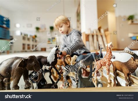 Animal In Kindergarten Over 11531 Royalty Free Licensable Stock