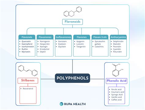 The Power Of Polyphenols Functional Medicines Antioxidant Superstars