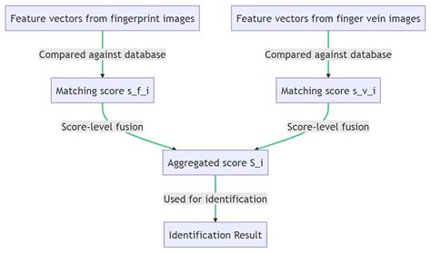 Multimodal Biometric Identification Leveraging Convolutional Neural Network Cnn Architectures