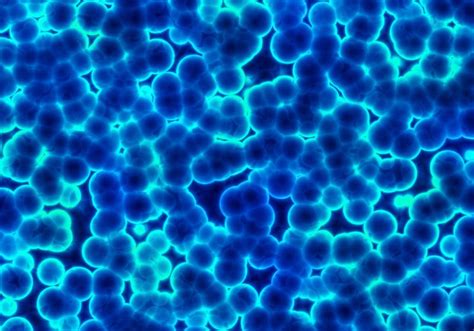 Advancing Quality Control Testing For Cell Therapies The Scientist