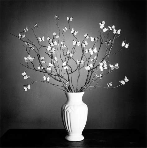 El Fotógrafo Chema Madoz Expone ‘la Naturaleza De Las Cosas En Las