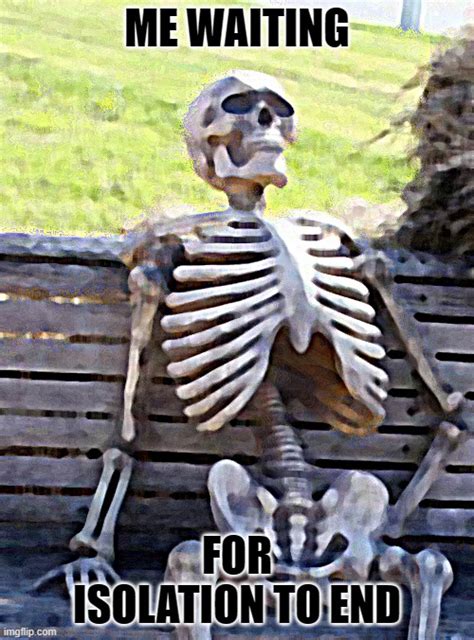 Skeleton Meme Template