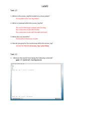 Lab Docx Lab Task Where Is The Access Log File Located On A Linux System It Is