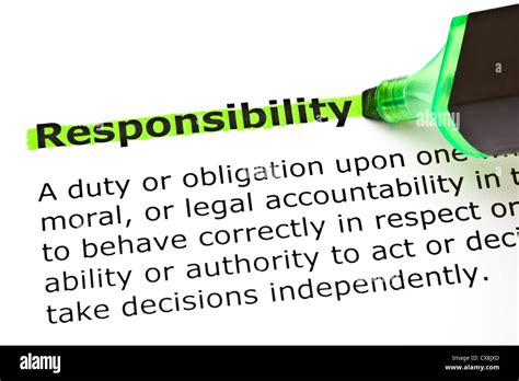Responsibility Definition Example