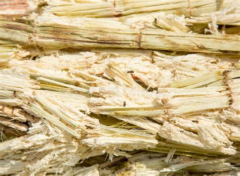 142 Bagasse De Canne à Sucre Photos Libres De Droits Et Gratuites De